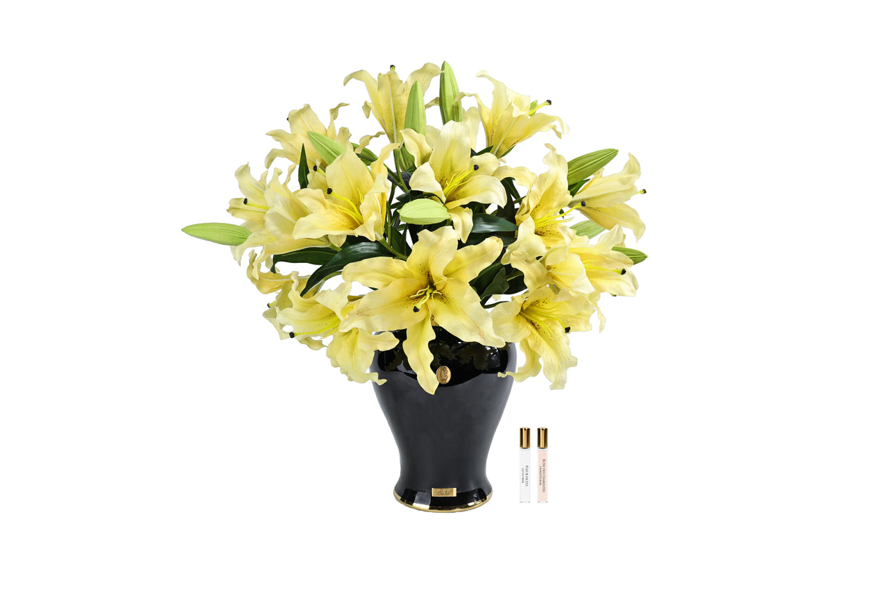 Imperial Lilies - Yellow - IMPL08 (Carton of 1) – Cote Noire NZ